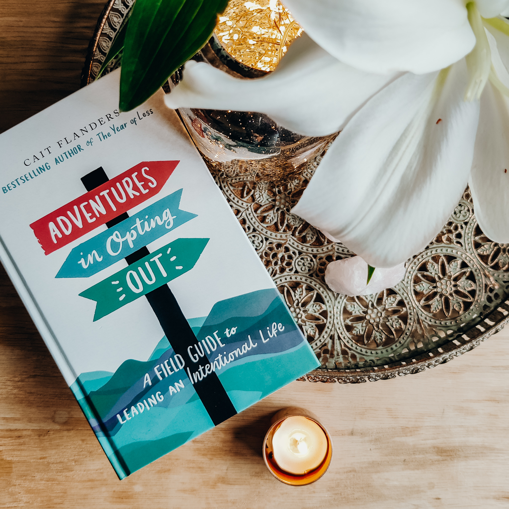 Adventures in Opting Out – Cait Flanders – bleached_books